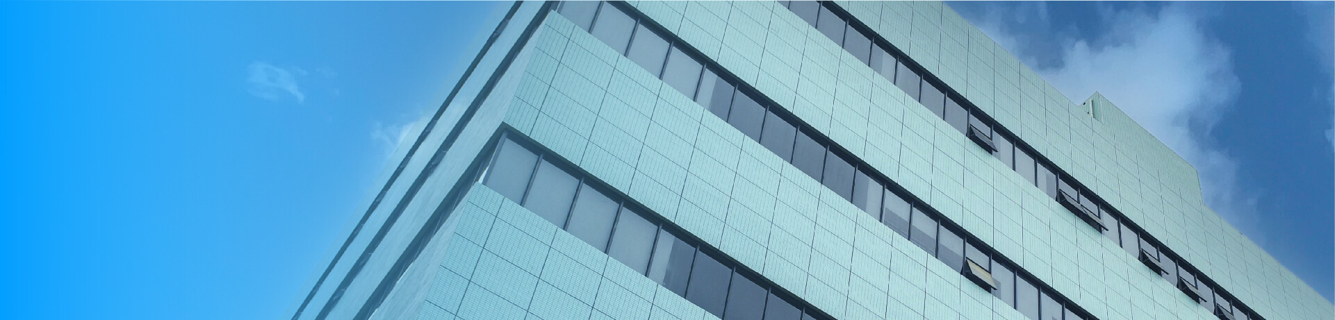 NCA Network Group Inc_